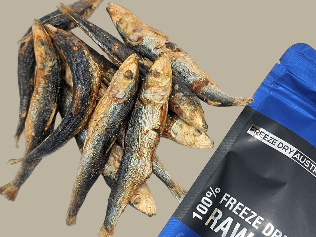 Freeze Dried Sardines – Omega-3 Brain & Skin Superfood Treats – Maleny ...